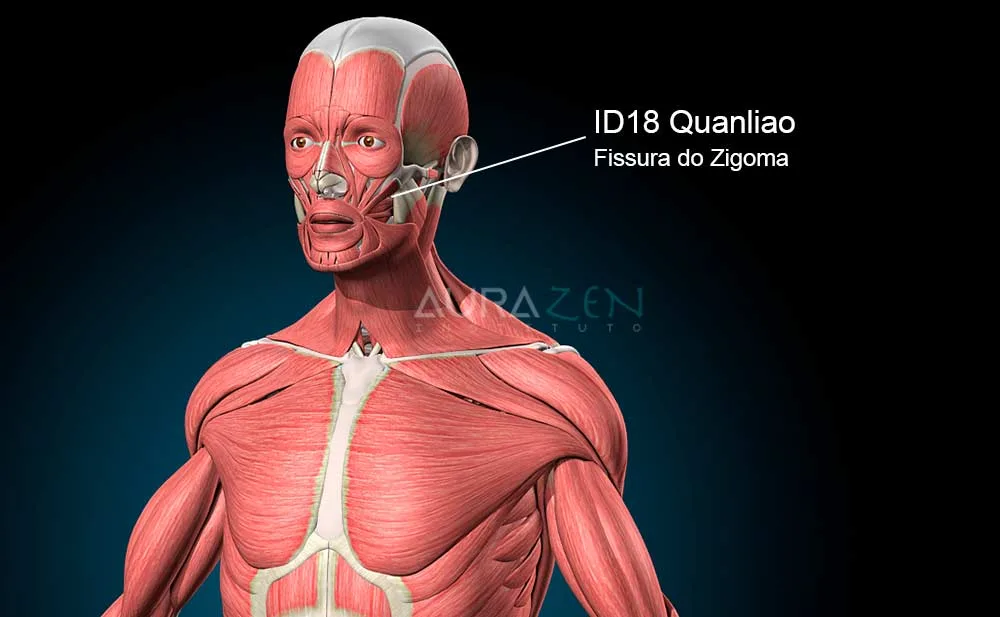 ID18 Acupuntura - Instituto de Acupuntura Aurazen